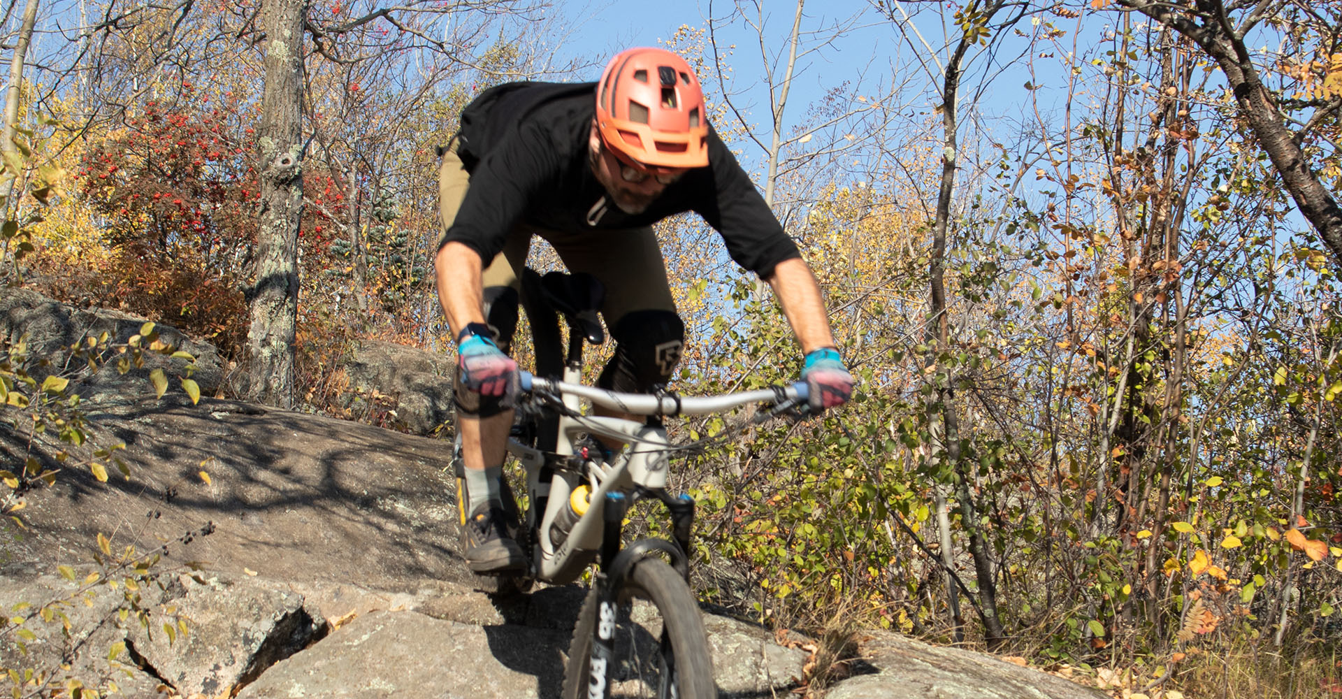 We Are Loll – Loll Designs