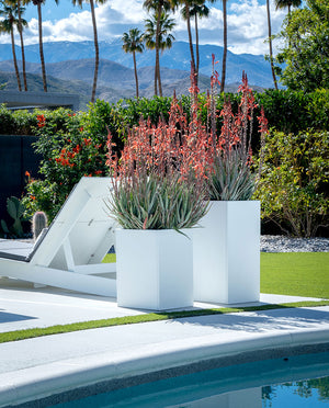 planters – Loll Designs