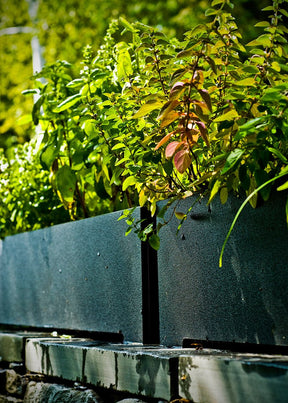 Contemporary Planter Box for the Modern Garden – Loll Designs